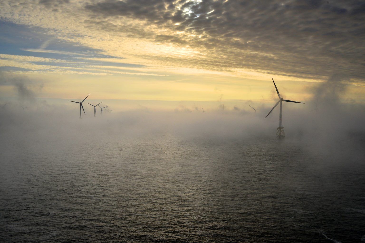 Deepwater Wind - Wood Thilsted